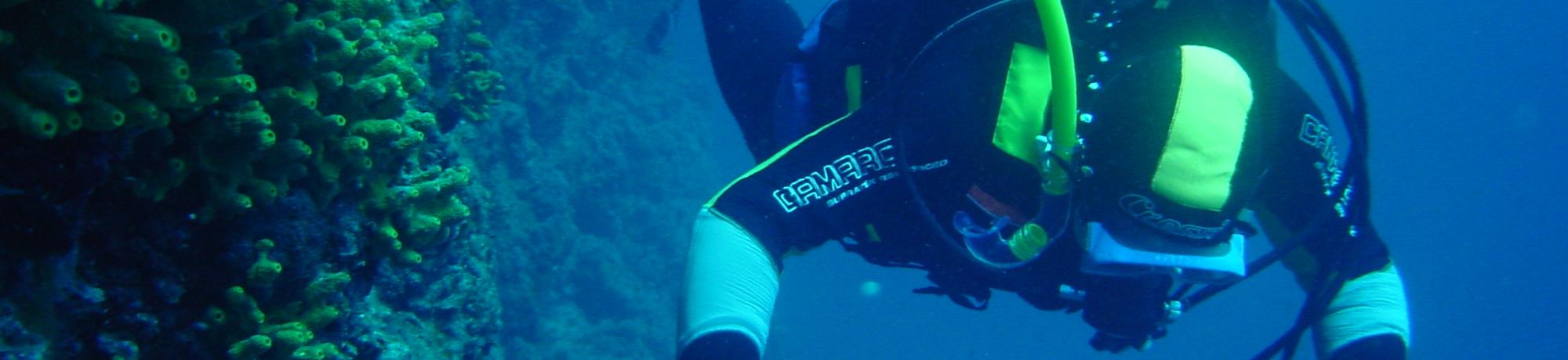 Professional Diving Medical Evaluation | Medical Surveillance Program